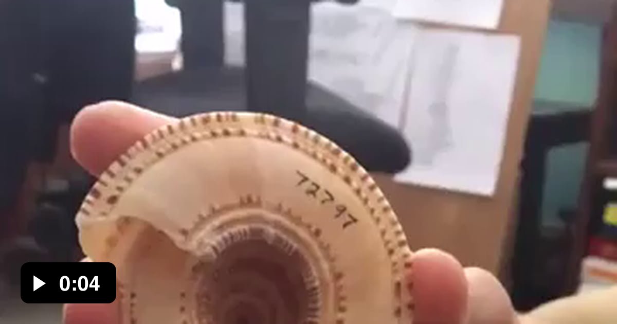 A perfect fit with these two sea shells - 9GAG