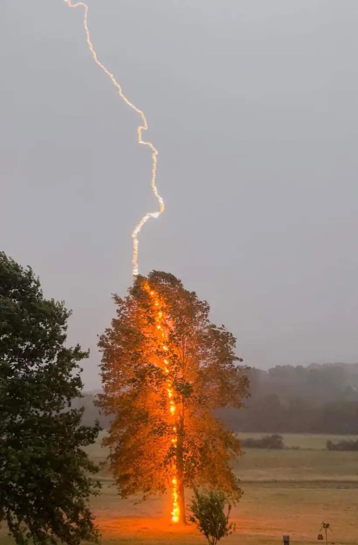 Photo by Debbie Parker showing a tree getting hit by lightning - 9GAG