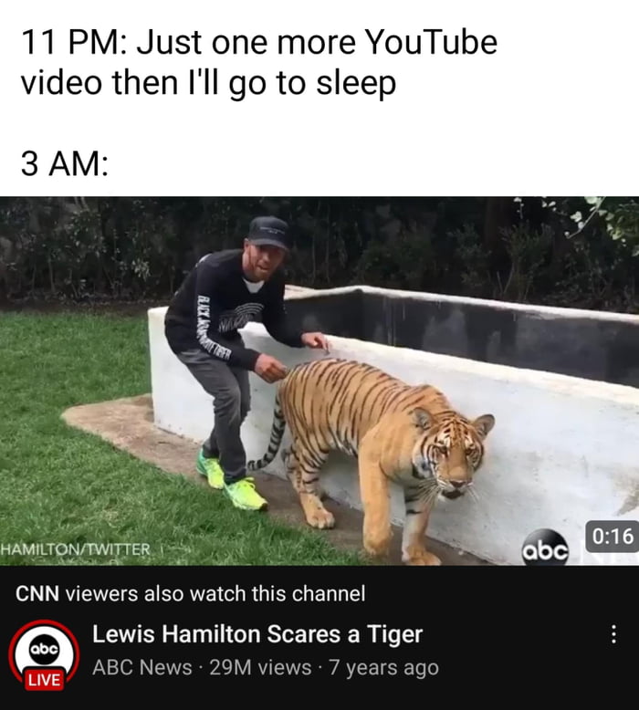 The YT algorithm is so manipulated, man - 9GAG