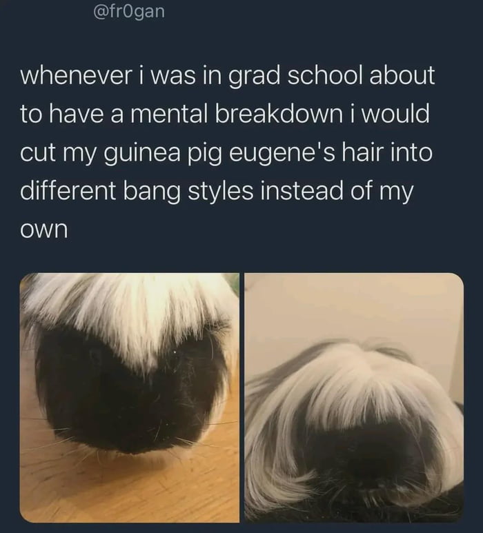 Eugene got the coolest hairstyles - 9GAG