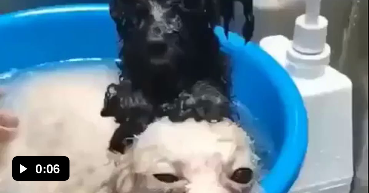 Rub his bud in the bathtub - 9GAG