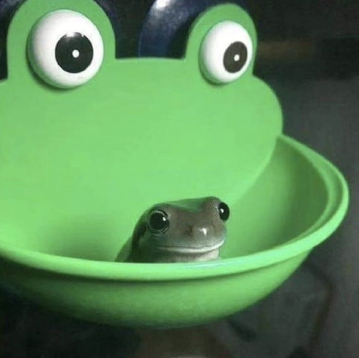 Frogception, a frog in a frog. - 9GAG
