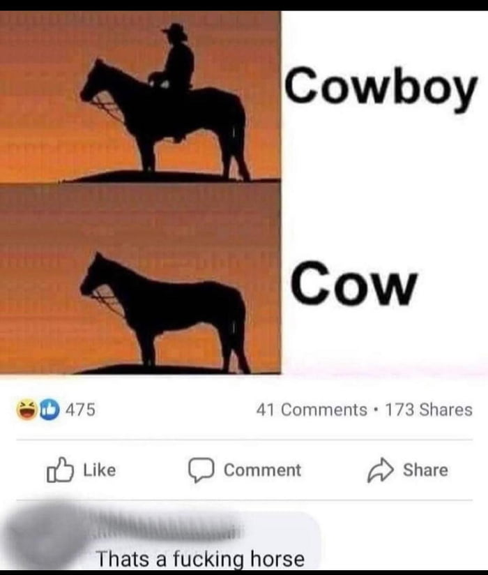 That cow is in great shape - 9GAG