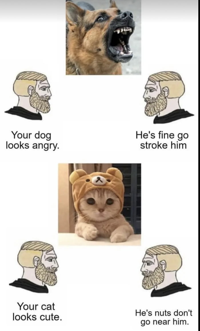 This is damn true - 9GAG