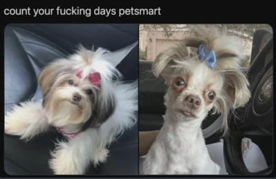 Petsmart's got it coming - 9GAG