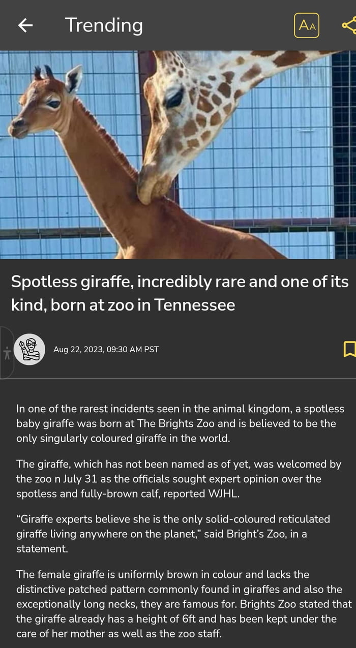 Mom, Where's My Dad? - 9GAG