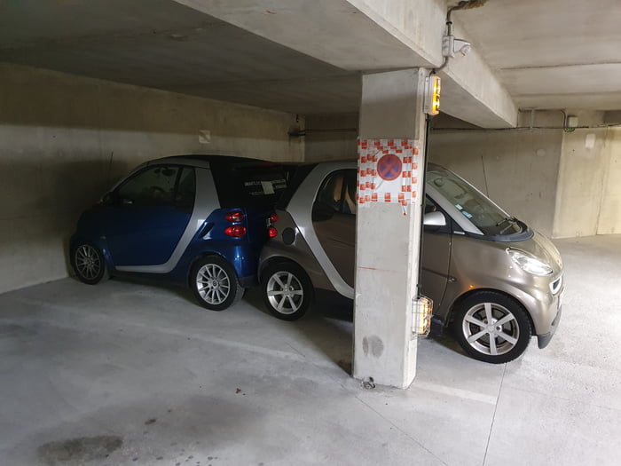 Rare picture of two smart reproducing 😅 - 9GAG