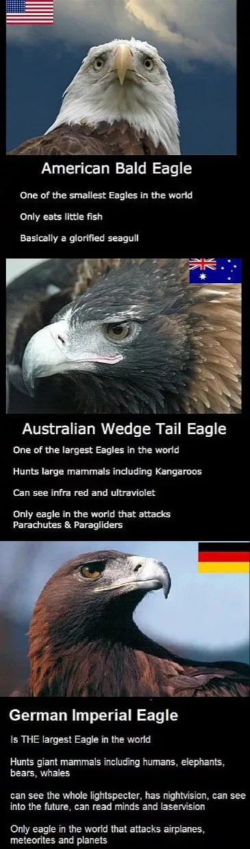 Germany strikes back - 9GAG