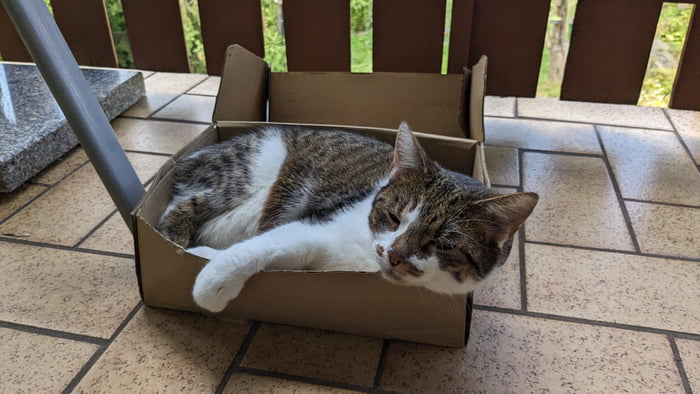 She really likes this box - 9GAG