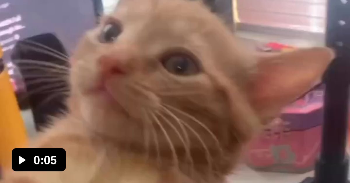 That's his activation word (he's a sleeper agent) - 9GAG