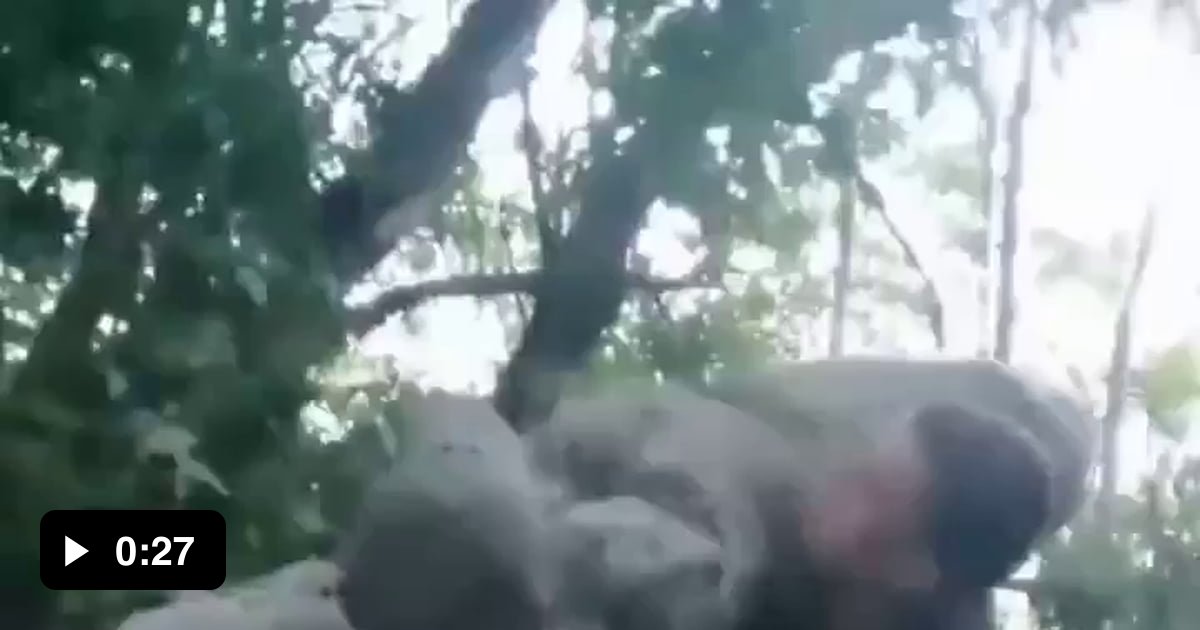 Ukrainian bench press on the front lines with no exercise equipment. Slava Ukraine - 9GAG