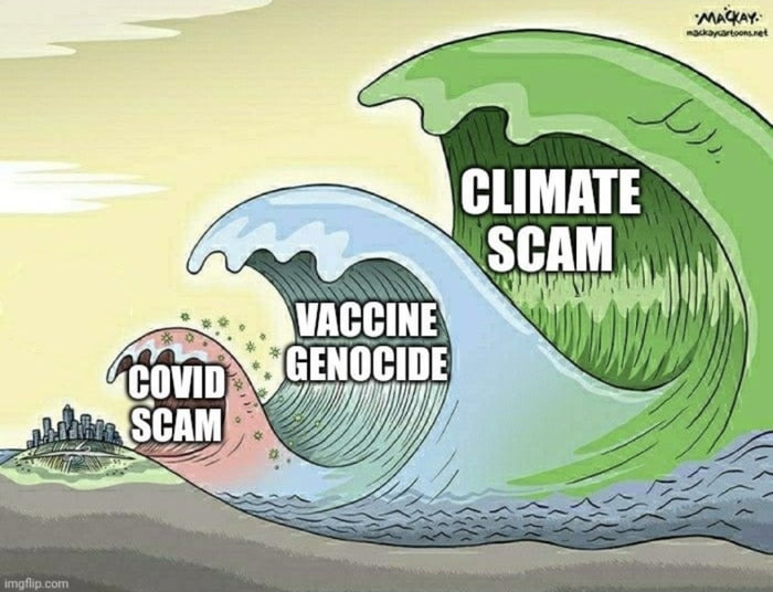 Lets trigger some sheep - 9GAG