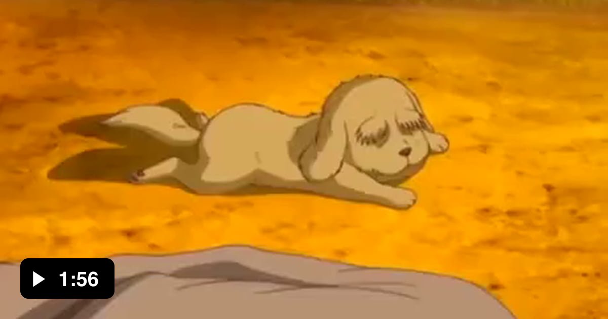 When you live alone with your pet dog and your time is nearly up but ...