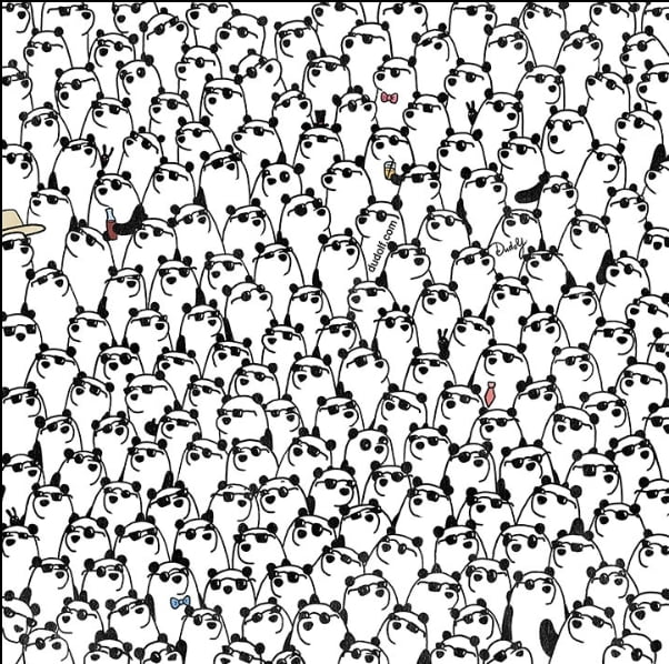 Pandas wearing sunglasses — and just three without them. By Gergely ...