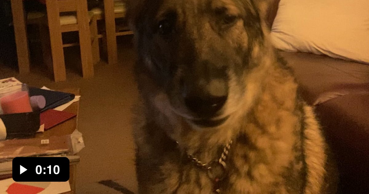 Goodbye Max, I’ll miss you mate. - 9GAG