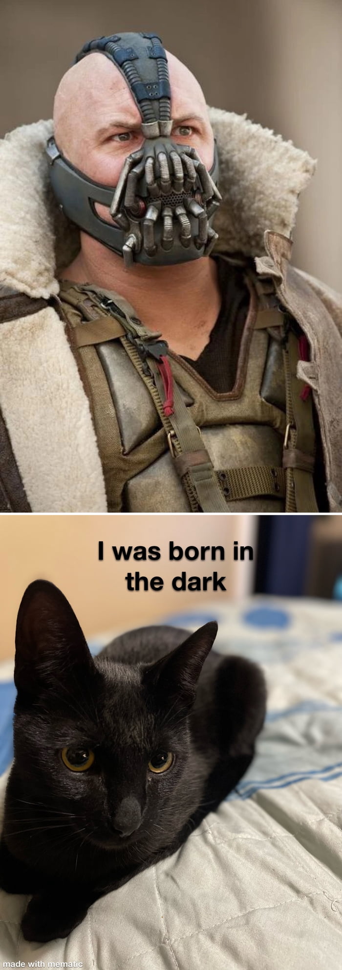I was born in the dark - 9GAG