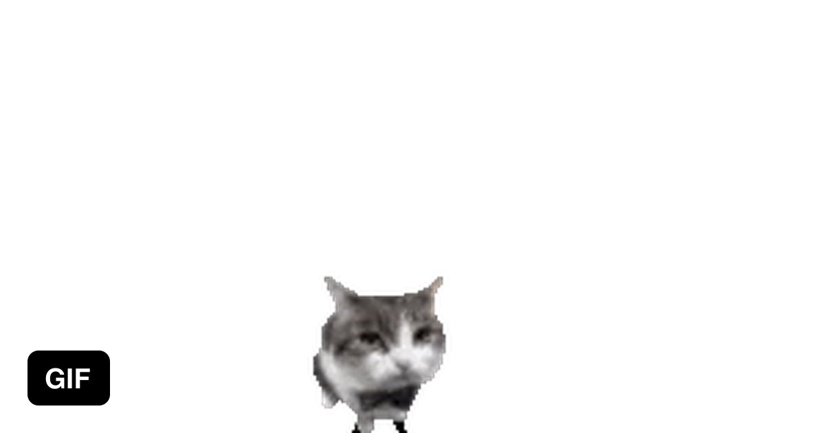 Cat throwing a brick at you - 9GAG