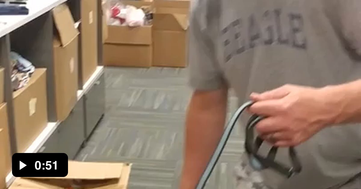 Turbo The Bed Bug Beagle - 9GAG