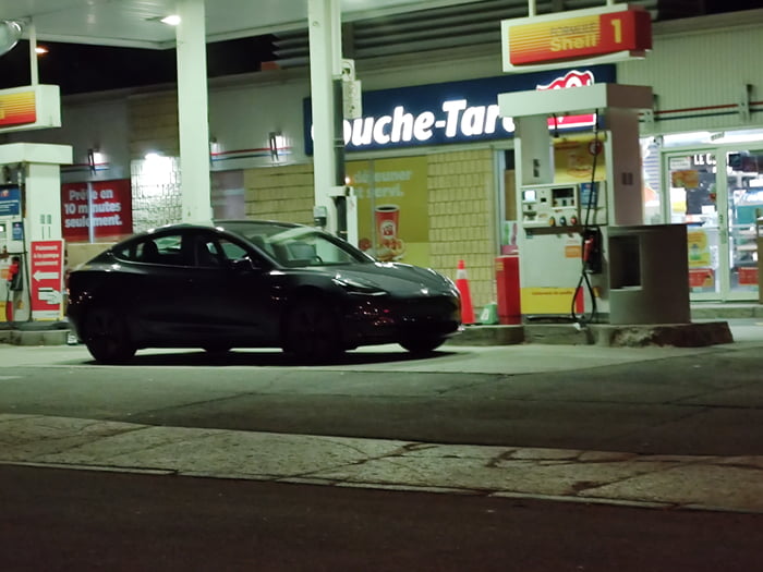 Musk's simp spotted in the wild - 9GAG