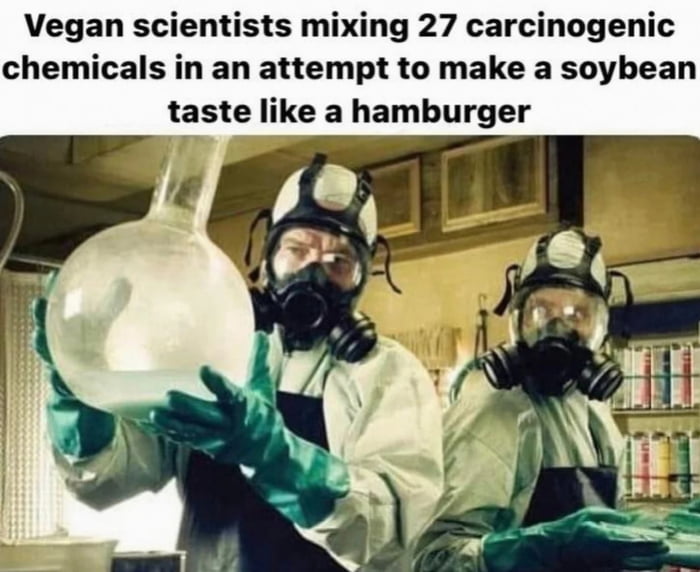 THE VEGAN COOKS, INCLUDING SOY GOODMAN. - 9GAG