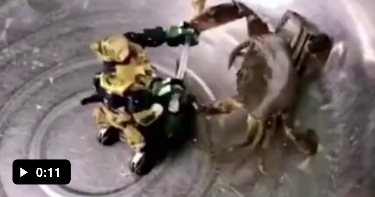 Everything will be crab - 9GAG