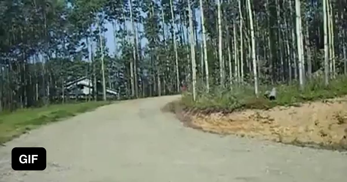 MAXIMUM EFFORT - 9GAG