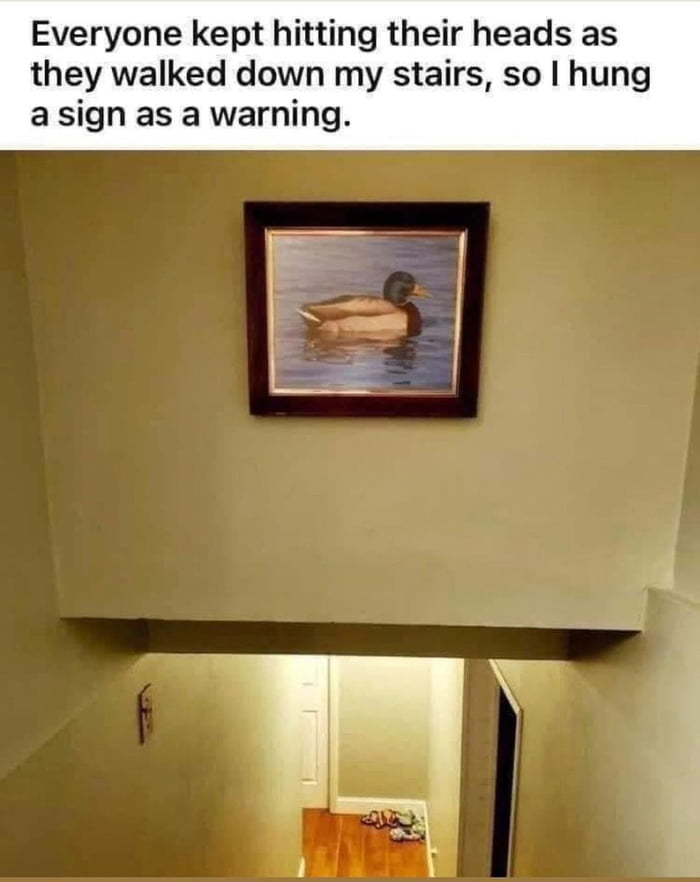 Done the duck it’s done - 9GAG