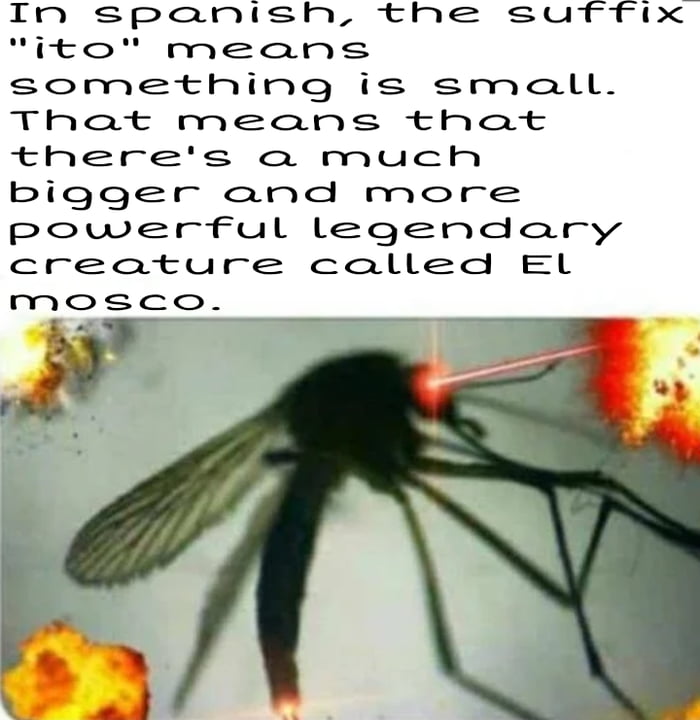 El mosco, the mosquitoes God - 9GAG