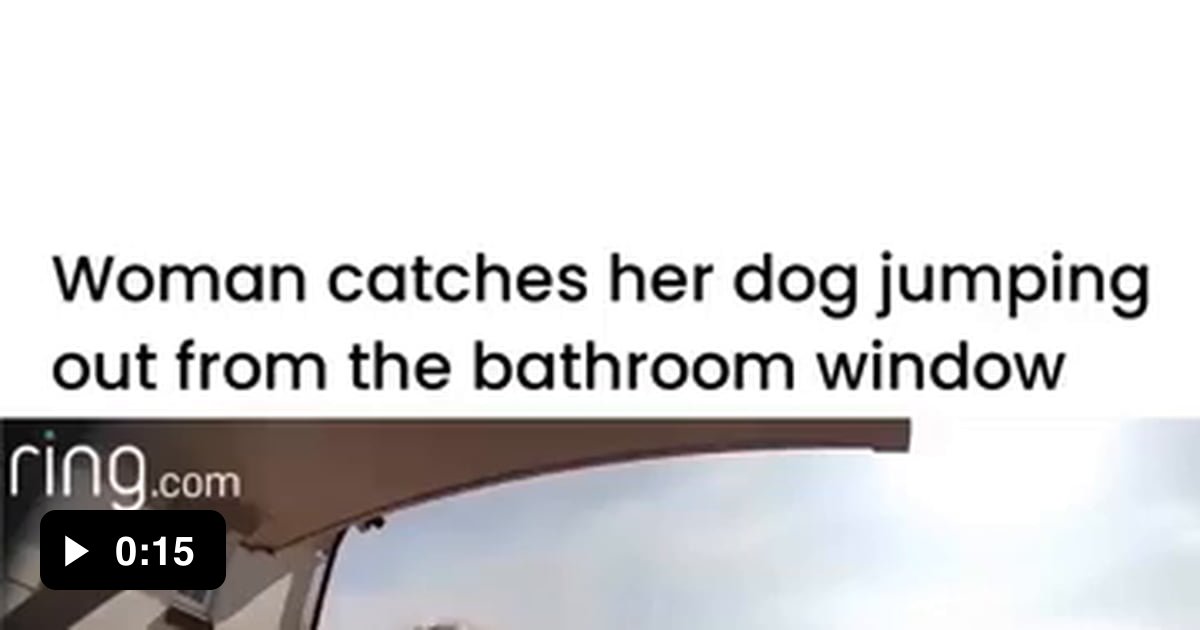 Catch me if you can - 9GAG