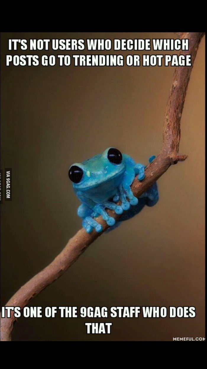 Prove me wrong! - 9GAG