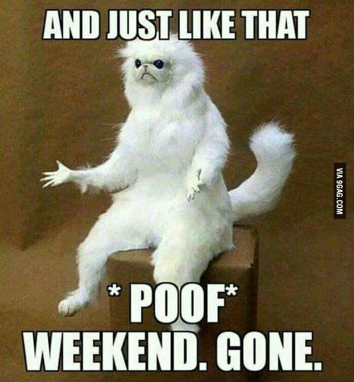 *Poof* Monday - 9GAG