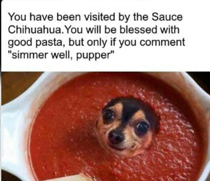 Simmer well, pupper - 9GAG