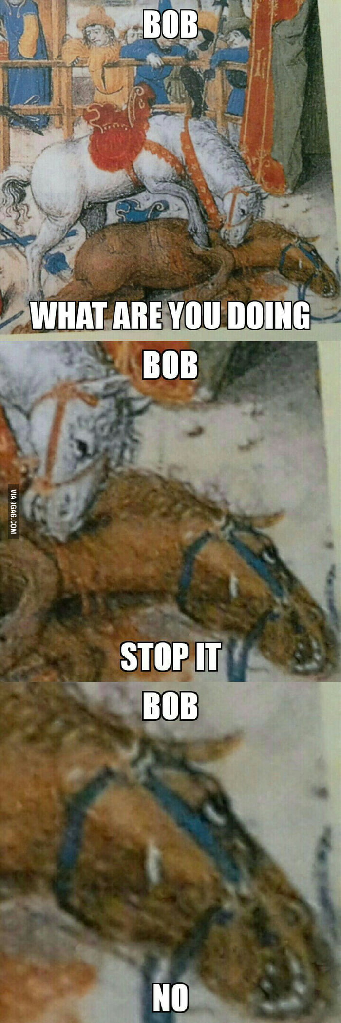 Dammit Bob - 9GAG