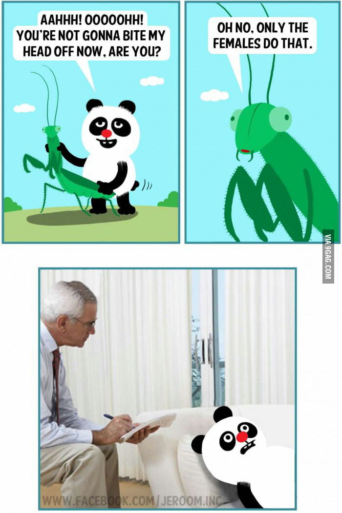 Oh panda... - 9GAG