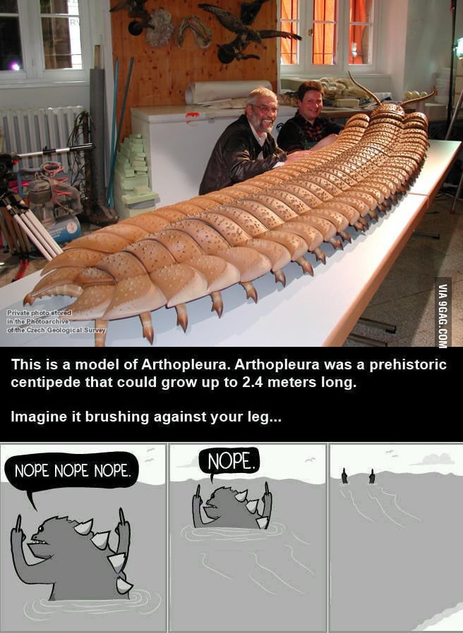 Nope Nope Nope Nope - 9GAG