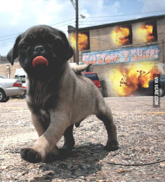 How it feels when I see a problem arising right as I'm leaving work for ...