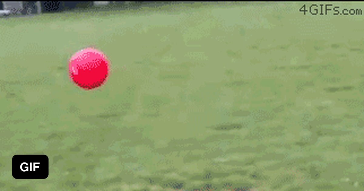 I got the ball... I got the ball.. - 9GAG