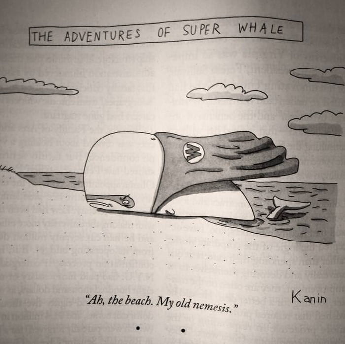 The Adventures of Super Whale - 9GAG