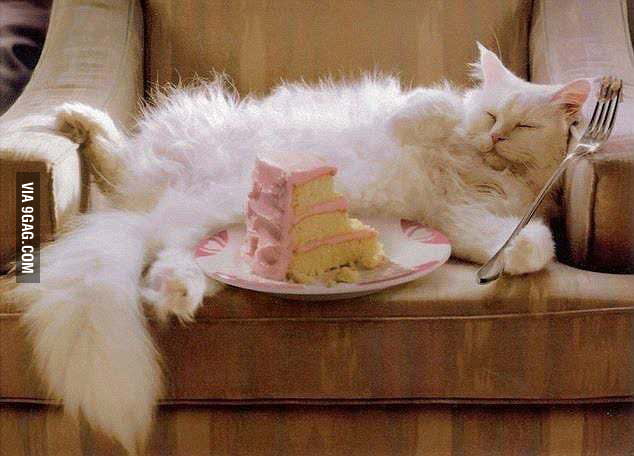 Cake coma. - 9GAG