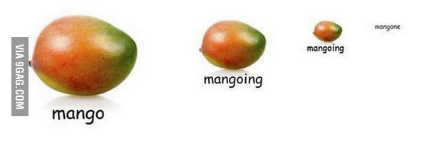 Mango. Mangoing. Mangoing. Mangone. 🍋 - 9GAG