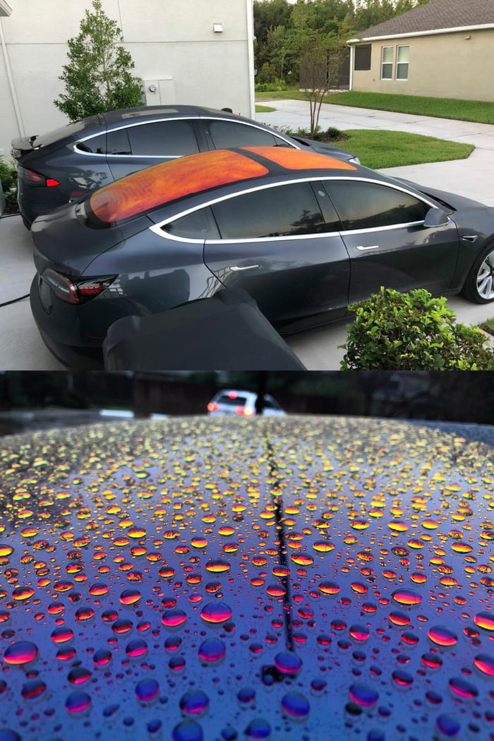 Special glass of Tesla model 3s and X's helps in avoiding greenhouse ...