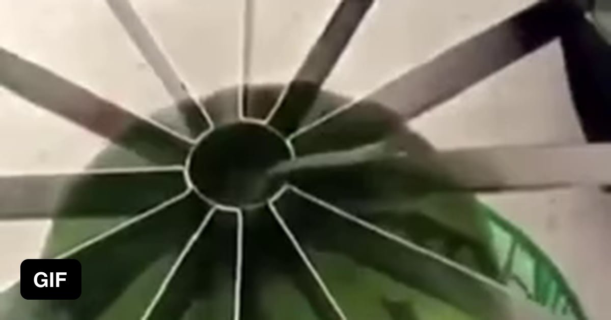 Finally watermelonium - 9GAG