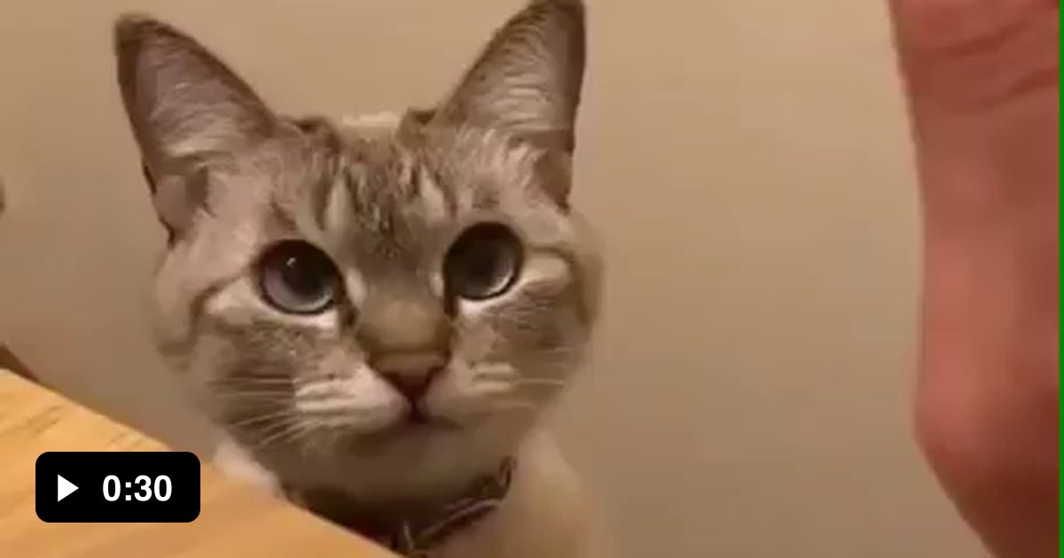 I feel so blessed! - 9GAG