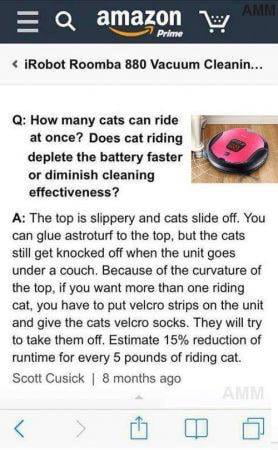 Cats on roomba - 9GAG