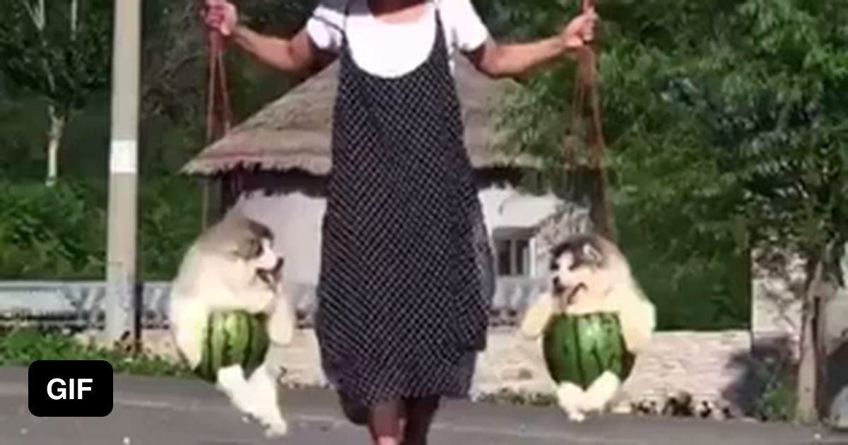 Cute and environmentally friendly - 9GAG