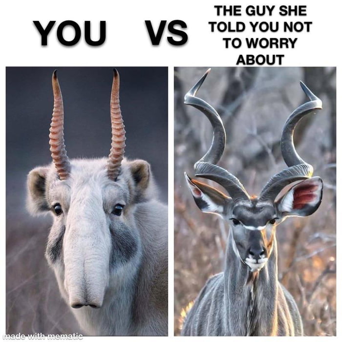 You VS The gazelle she tells you not to worry anout - 9GAG