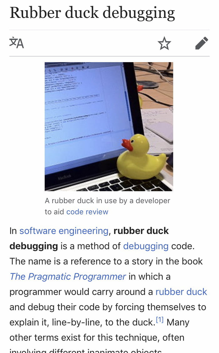 I”m a professional duck debugger - 9GAG