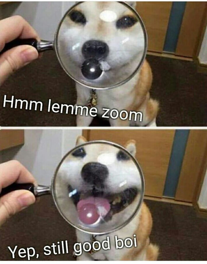 Doin a zoom - 9GAG