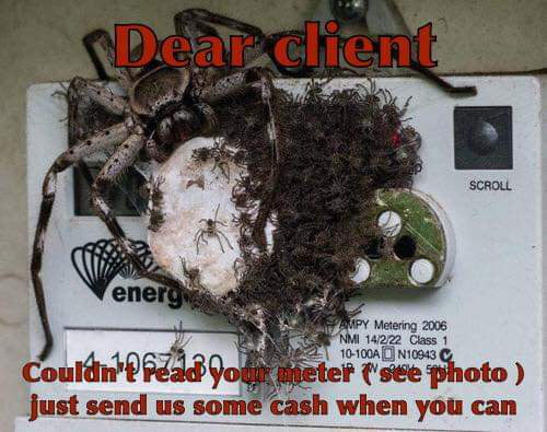 The Giant Enemy Spider, Lord of the Small enemy Spider legions, Tyrant ...