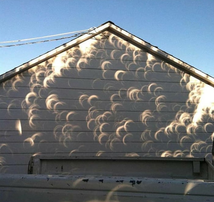 Shadow casted by a tree during an eclipse. - 9GAG